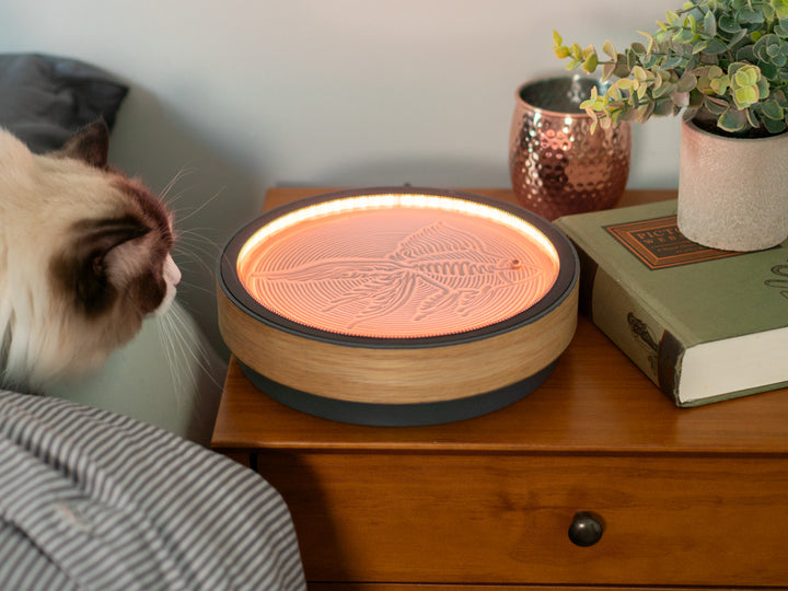 Oasis Mini - Calming and Captivating Kinetic Art Canvas