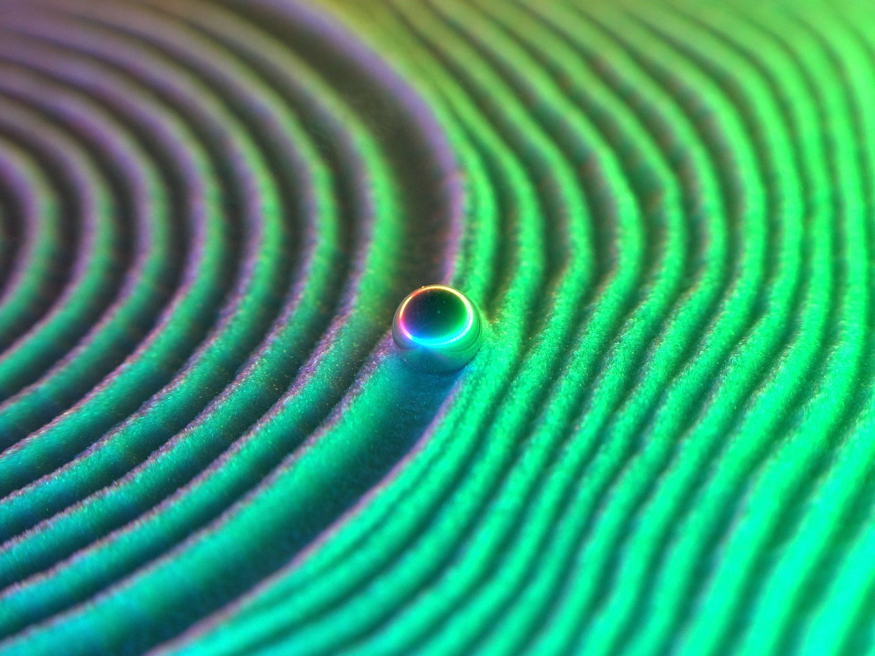 Oasis Mini - Calming and Captivating Kinetic Art Canvas